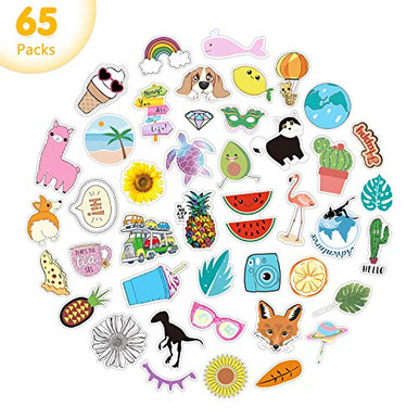 65PCS Colorful VSCO Girl Stickers for Hydroflasks Cute Waterproof ...