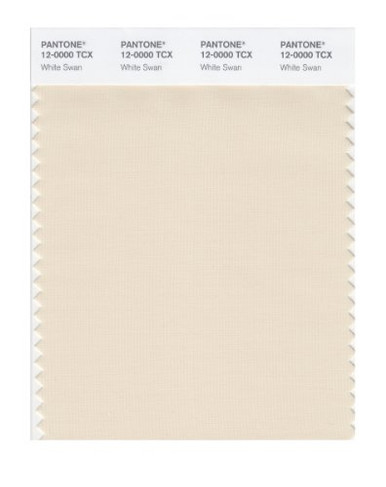 PANTONE SMART 12-0000X Color Swatch Card, White Swan - Warehousesoverstock