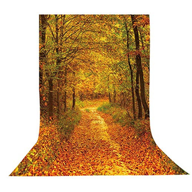 Allenjoy 5x7ft Autumn Maple Forest Path Photography Backdrop Deciduous ...