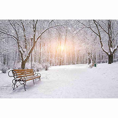 Allenjoy 7xft Snow Scene Vinyl Winter Backdrop Park Bench Christmas New ...