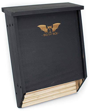 BIGBATBOX Bat Houses for Outdoors Proven Bat Box Design Premium 2 ...