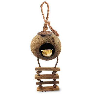 SunGrow Gecko Coco Den with Ladder 5 1 inches Shell Diameter 2 4 inches ...