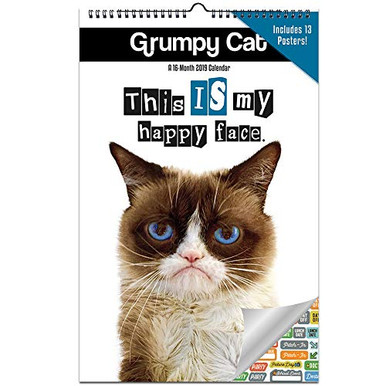 Grumpy Cat Calendar 2019 Set -- Deluxe 2019 Funny Grumpy Cats Oversized ...