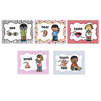 BIGPANDA 10PCS Early childhood education chart The rule chart is ...