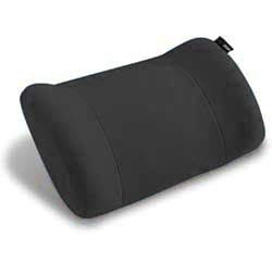 Healthy Back BiFoamPad Ergonomic Lumbar Support Polyurethane Foam ...