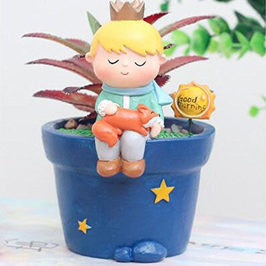 HEHEN Fairy Tale Series Garden Little Prince Plant Flower Pots Micro ...