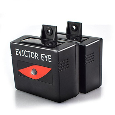 Flantor Evictor Eye, Animal Repeller Latest Bat Shape Design Predator ...