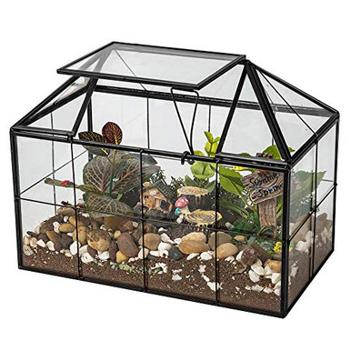 Ferrisland Glass Terrarium Flowers Case House Shape Display Box Planter ...