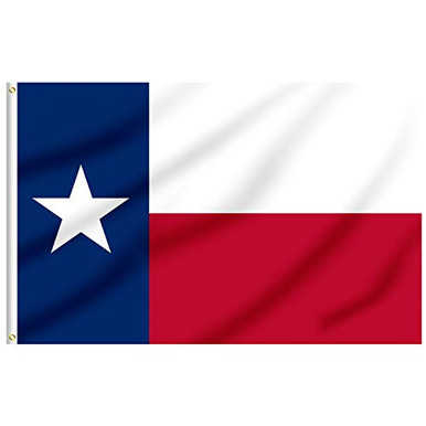 FLAGBURG Texas Flag TX State Flag 5x8 FT Lone Star Flag with Print ...