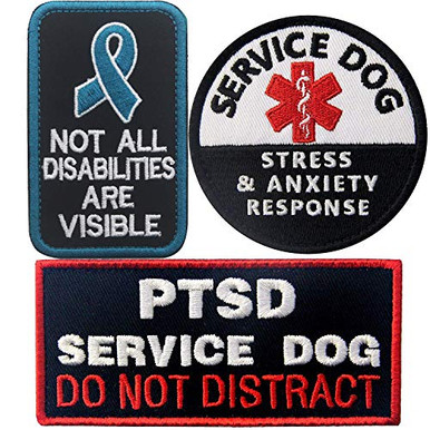 Service Dog PTSD Do Not Distract Not All Disabilities are Visible ...