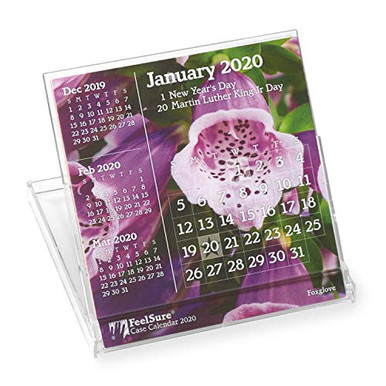 2020 Mini Desk Calendar Flower and Plant Photography with Holidays in ...