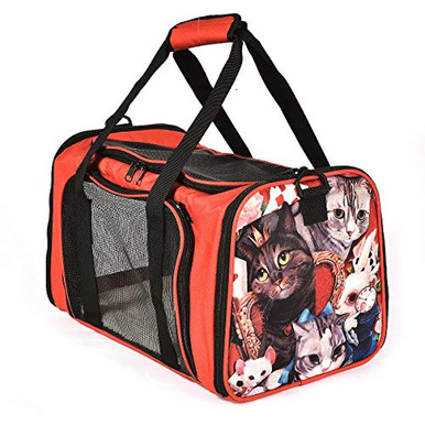 Big Eyes Pet Soft Sided Cat Carrier for Medium Cats Small Cats ...