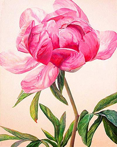 DIY Diamond Painting Kits Lotus Flower Round Diamond Art Kits for Decor ...