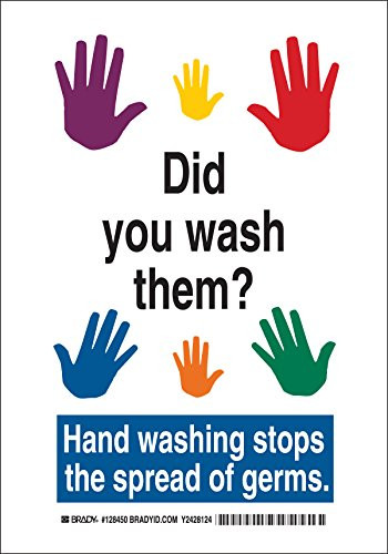 Brady 128450 Personal Hygiene Sign, Legend"Did You Wash Them? Hand ...