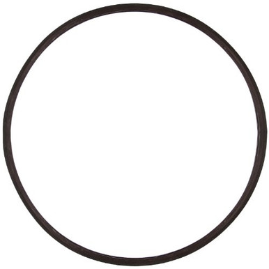 TCP Global Paint Pressure Pot Tank Lid Replacement Rubber Gasket for 5 ...