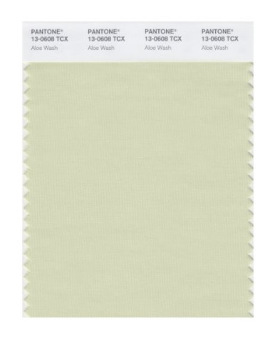 PANTONE Smart 13-0608X Color Swatch Card, Aloe Wash - Warehousesoverstock