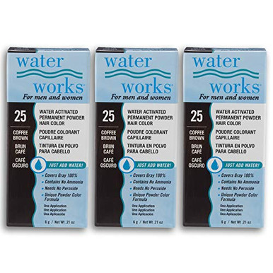 Water Works Powder Hair Color Permanent Coffee Brown 3 packs ...