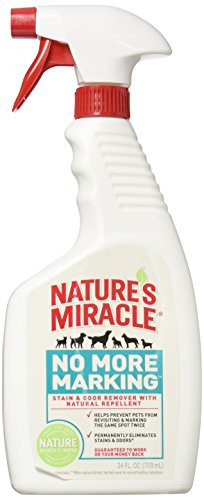 No More Marking Formula Stain Odor Remover - Warehousesoverstock