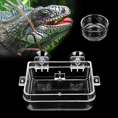 IAFVKAI Reptile Feeder Acrylic Anti Escape Gecko Chameleon Food Water ...