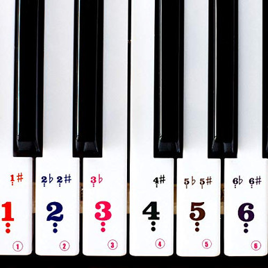 Black Figure Piano Keyboard Stickers Transparent Removable for 886154 ...