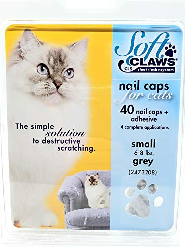 Soft Claws Feline Cat Nail Caps Take Home Kit Small Gray ...