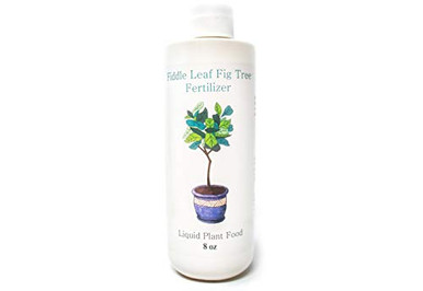 Fiddle Leaf Fig Tree Fertilizer | Ficus Plant Food | Improves Leaves ...