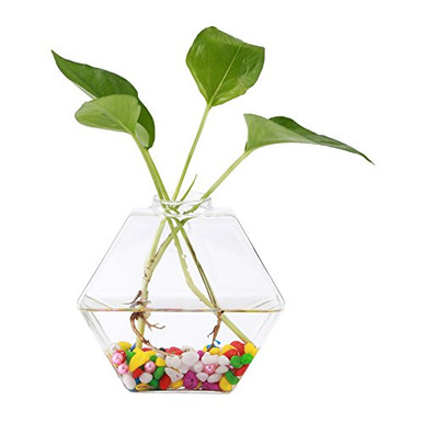 Hydroponic Container Hanging Glass Vases Onion Shape Air Plant ...