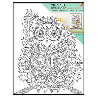 MCS 10x13 Inch Time-Out Color-In Frame Adult Coloring Page, Owl Design ...