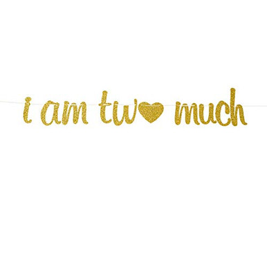 I Am Two Much Banner 2nd Birthday Party Decor for Boys Girls Funny ...