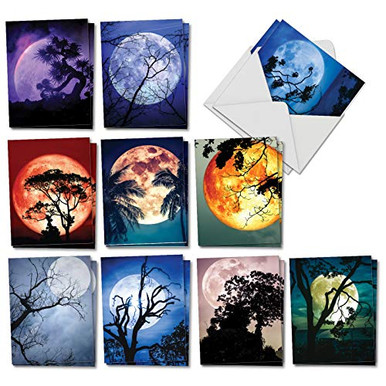 The Best Card Company 20 Landscape Nature Note Cards Blank 4 x 512 Inch ...