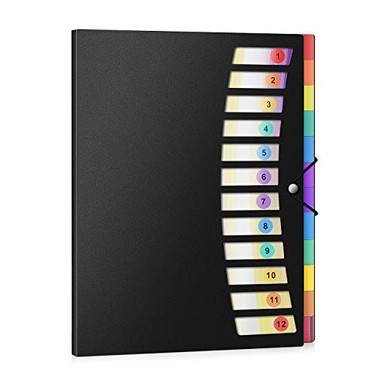 BluePower Files Organizer Folder Portable Document Receipt Organizer 12 ...