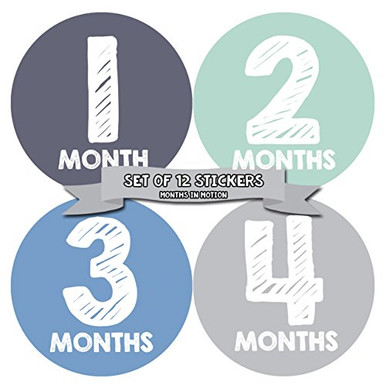 Months in Motion Baby Monthly Stickers Baby Milestone Stickers Newborn ...