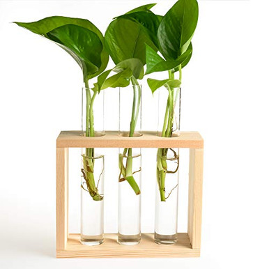 PACDONA Wall Hanging Glass Test Tube Planter Propagation Station Glass ...