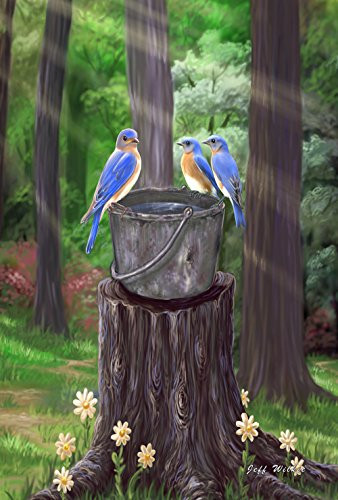 Toland Home Garden Birds on a Bucket 28 x 40 Inch Decorative Spring ...