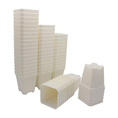 BangQiao 60 Pack Small 270 Inch Plastic Square Nursery and Seedling Pot ...