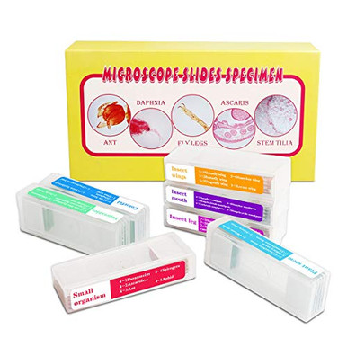 Bysameyee 35PCS Prepared Microscope Slides with 7 Types Specimens ...