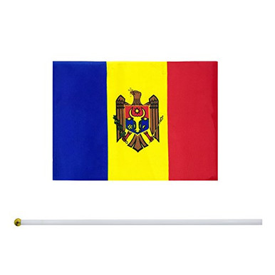 Kind Girl Hand Held Moldova Flag Moldovans Flag Stick Flag Small Mini ...