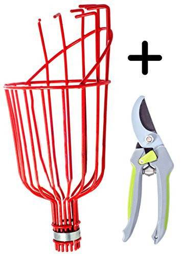 Fruit Picker Harvest Tool Kit: Basket Head & Garden Bypass Pruning ...