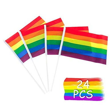 FUTUREPLUSX Rainbow Stick Flag, 24PCS 5 x 8 inch Mini Gay Pride Flags ...