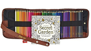 Professional Color Pencil Set-48 Unique Art Coloring Pencils- Non-Toxic ...
