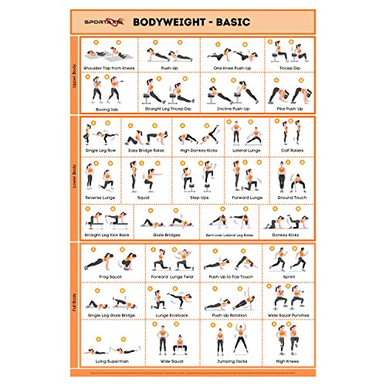 SPORTAXIS NoEquipment Laminated Body Weight Workout Poster with ...