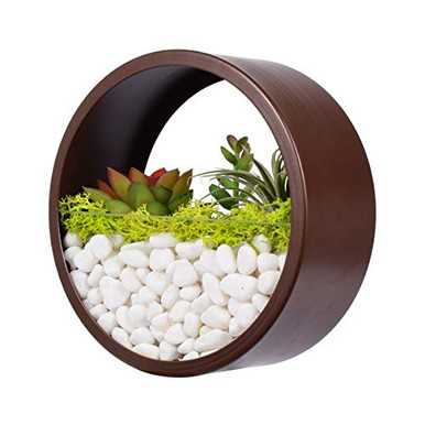 Ecosides 6 Brown Round Glass Wall Planter Wall Hanging Metal Plant ...