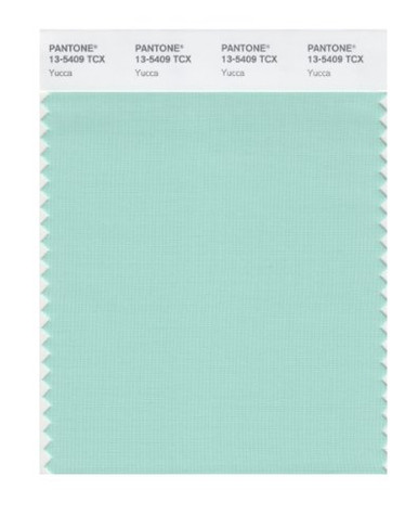PANTONE Smart 13 5409X Color Swatch Card Yucca - Warehousesoverstock