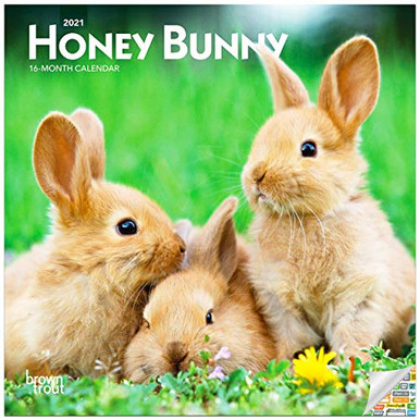 Honey Bunny Calendar 2021 Bundle Deluxe 2021 Bunnies Mini Calendar with ...