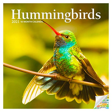 Hummingbirds Calendar 2021 Bundle Deluxe 2021 Hummingbirds Mini ...