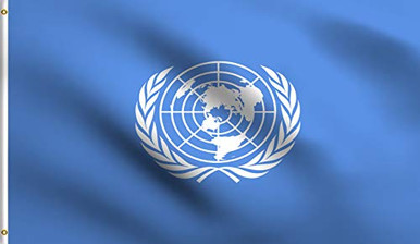 DMSE United Nations UN White Blue Polar Azimuthal Equidistant ...