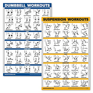 QuickFit 2 Pack Suspension Workouts and Dumbbell Exercise Poster Set ...