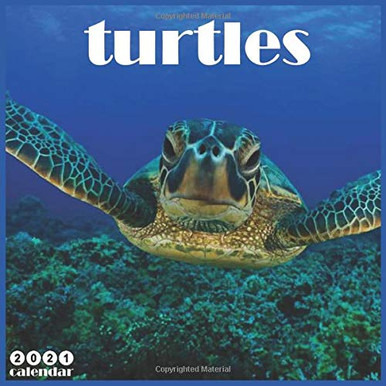 Turtles 2021 Calendar Official Tortoise Sea Turtles Wall Calendar 2021 ...