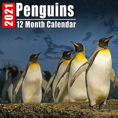 Calendar 2021 Penguins Cute Penguin Photos Monthly Mini Calendar With ...