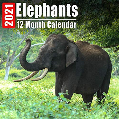 Calendar 2021 Elephants Cute Elephant Photos Monthly Mini Calendar With ...